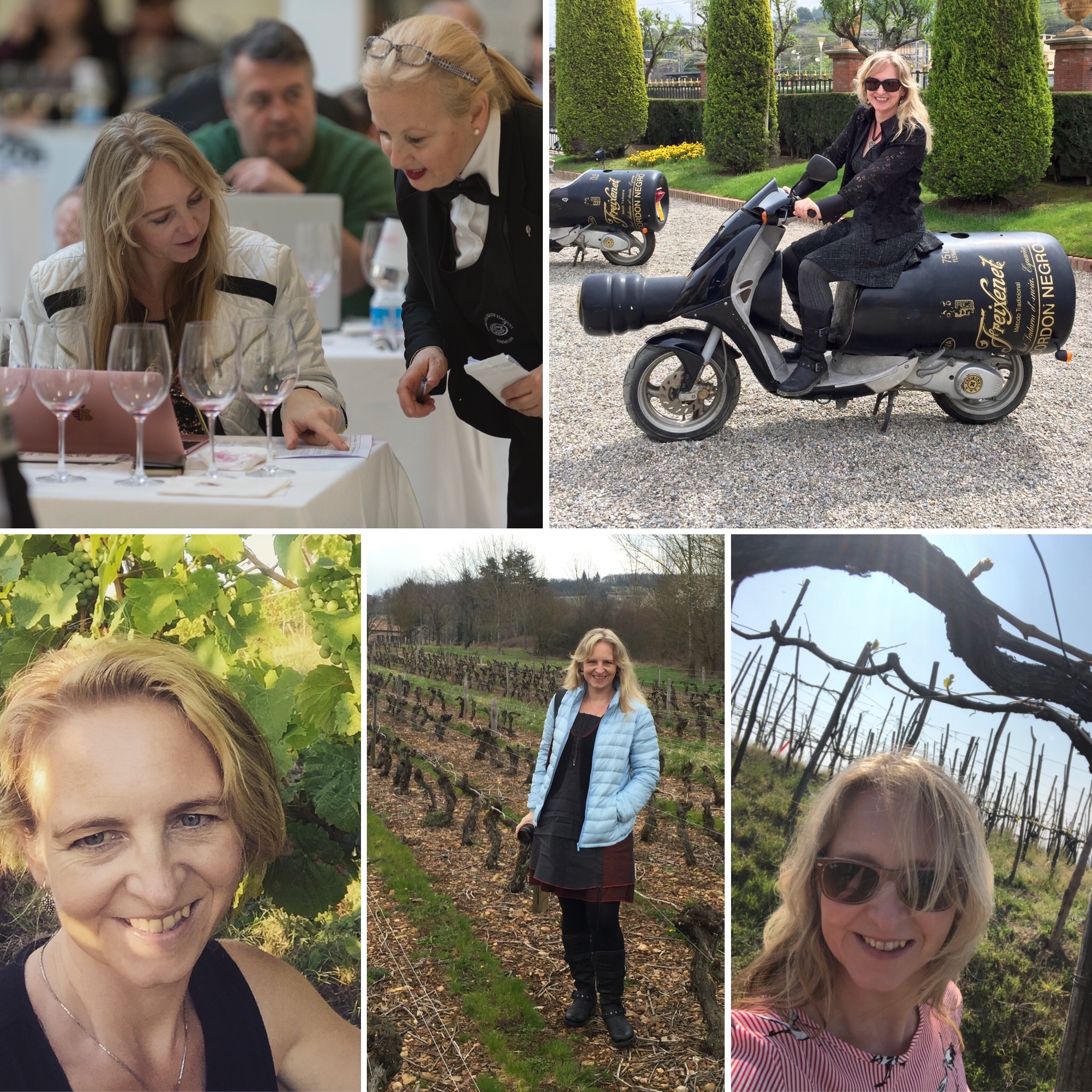 Om I Glasset – I Glasset