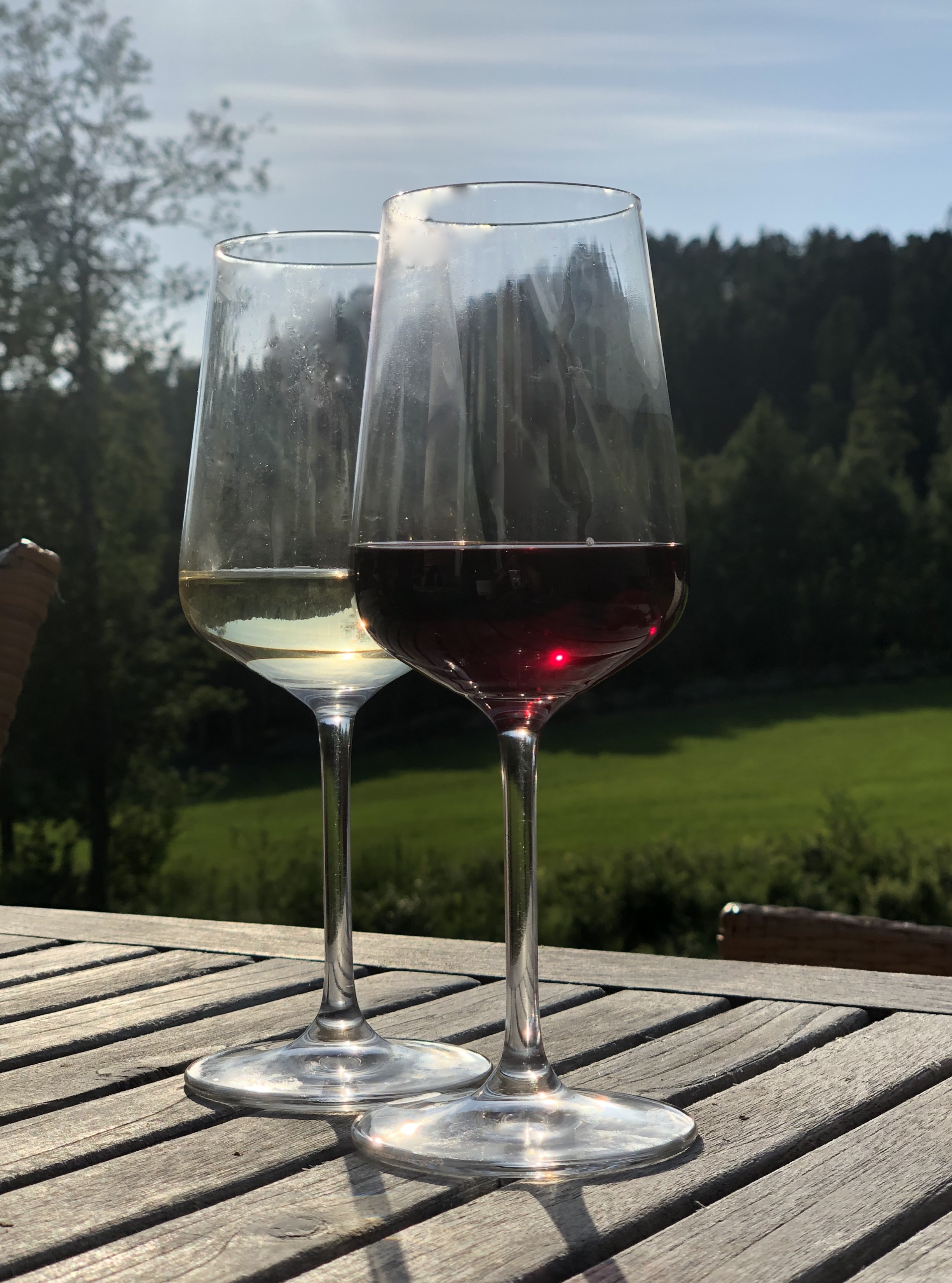 Vinglass til deg selv eller i gave? Her er tipsene på hvilke glass som ...